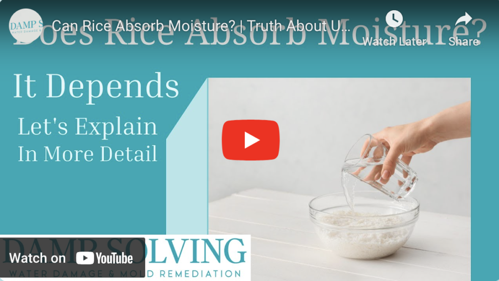 Discover Everything About Mold & Damp Problems Via Helpful Videos